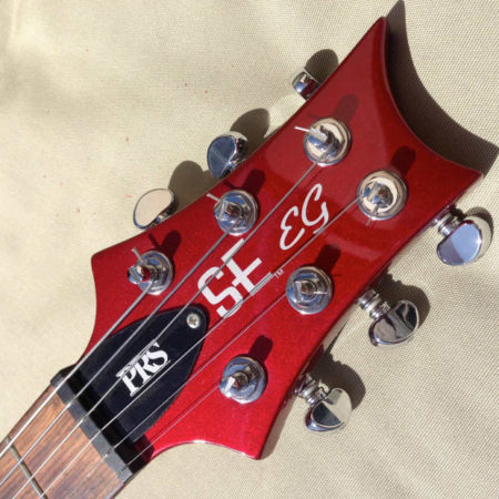 PRS SE - EG MODELS - IMPORTED - Pickguard Planet