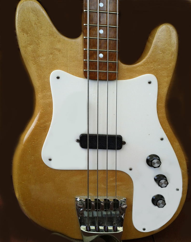 Rickenbacker Bass Pickguards (click for price in any color) | Pickguard ...