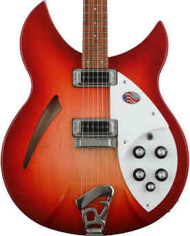 Rickenbacker 300 Series Guitar Pickguards - Pickguard Planet